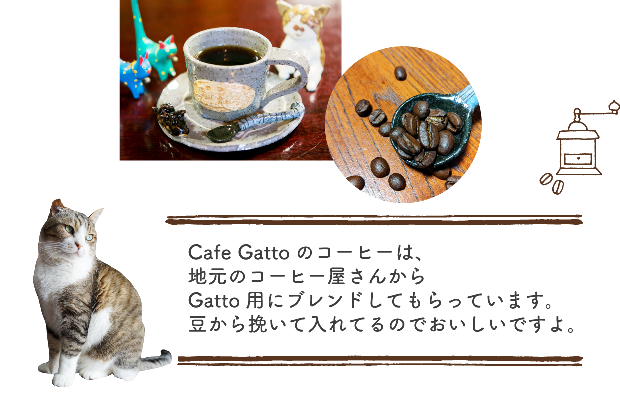 料金システム – 福岡の猫カフェGatto